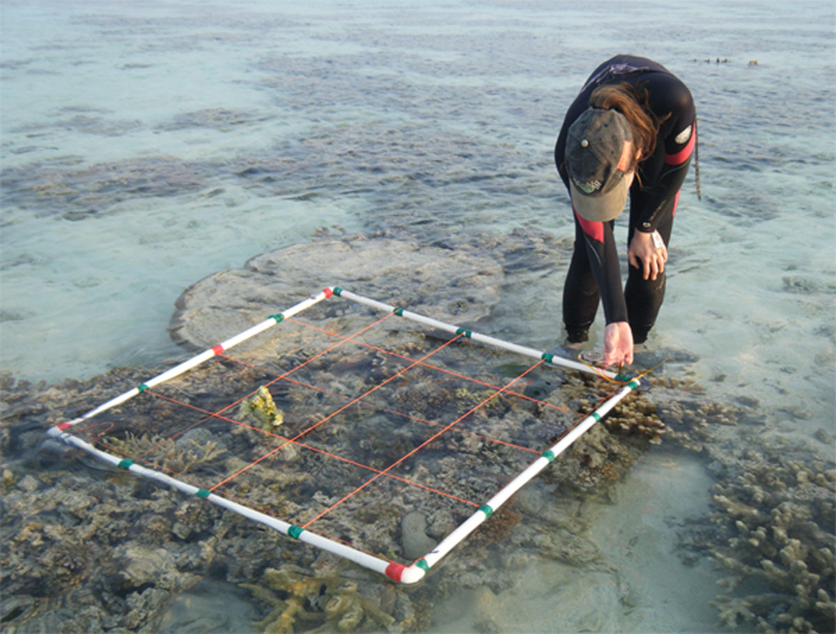 Marine Studies Institute - University of Sydney Marine Science Teaching ...